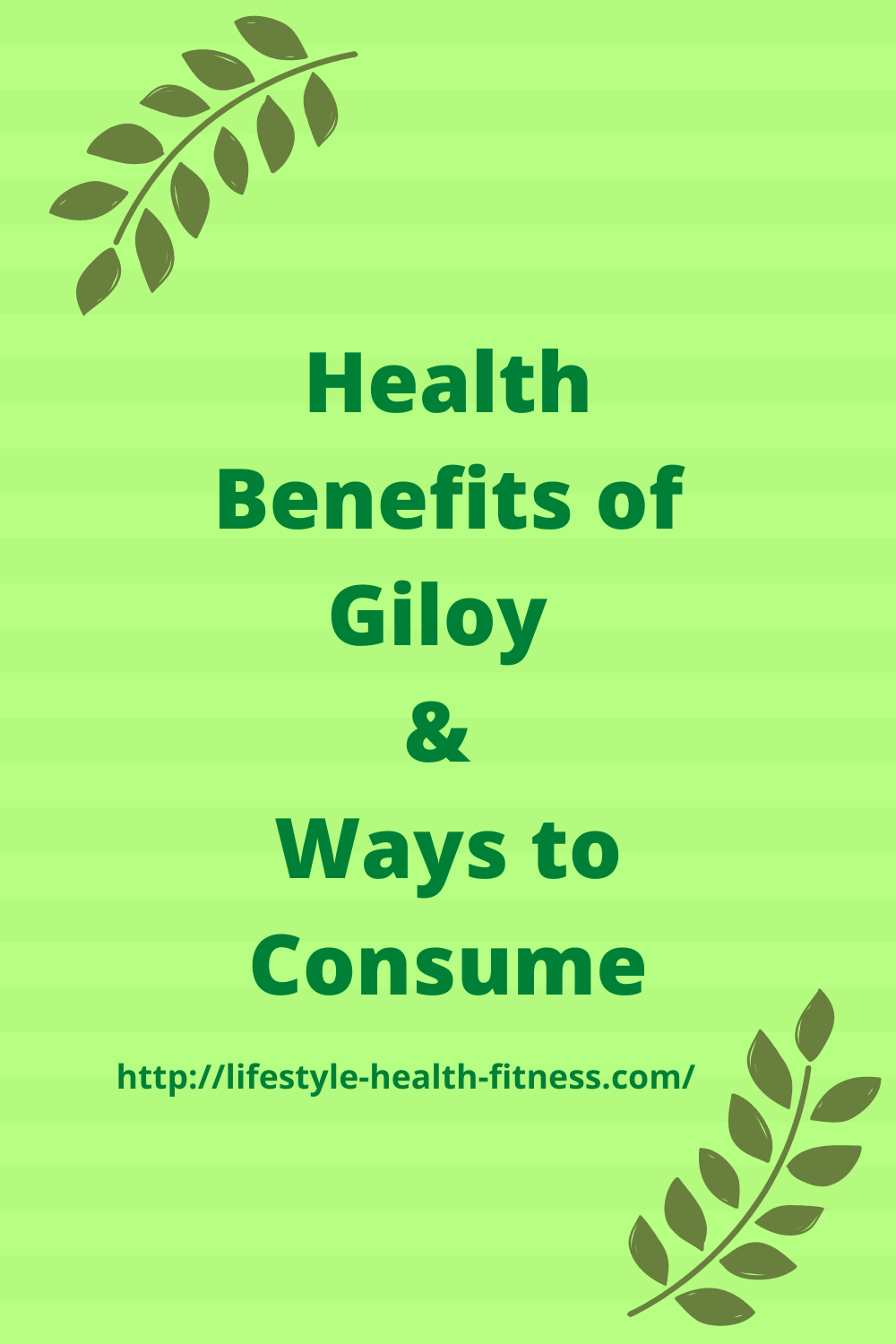 10 Health Benefits of Giloy That You Must Definitely Know